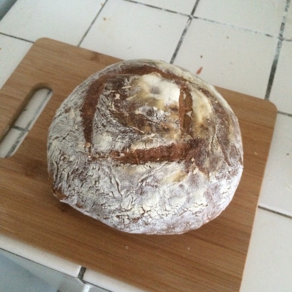 The Bread Head Thread [with pictures!] - Food - Waypoint - Forum